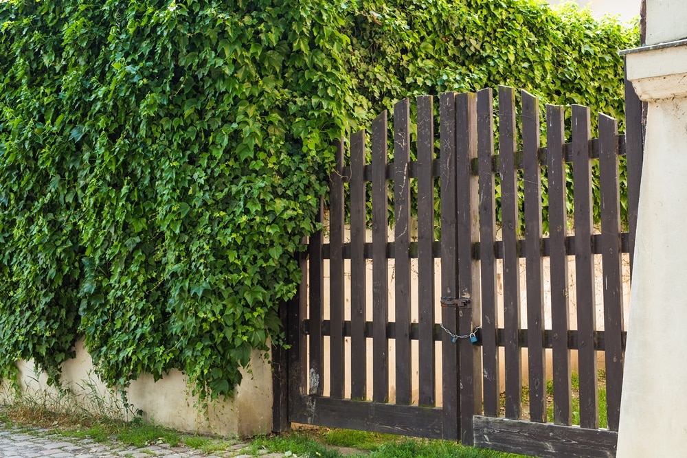 Residential vs. Commercial Gates: What’s the Difference? - Turnkey Gates